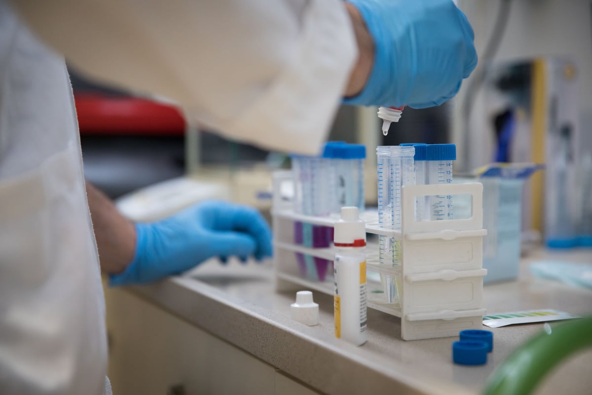 Human Cloning Ethics Debate Sparked by Gene Research